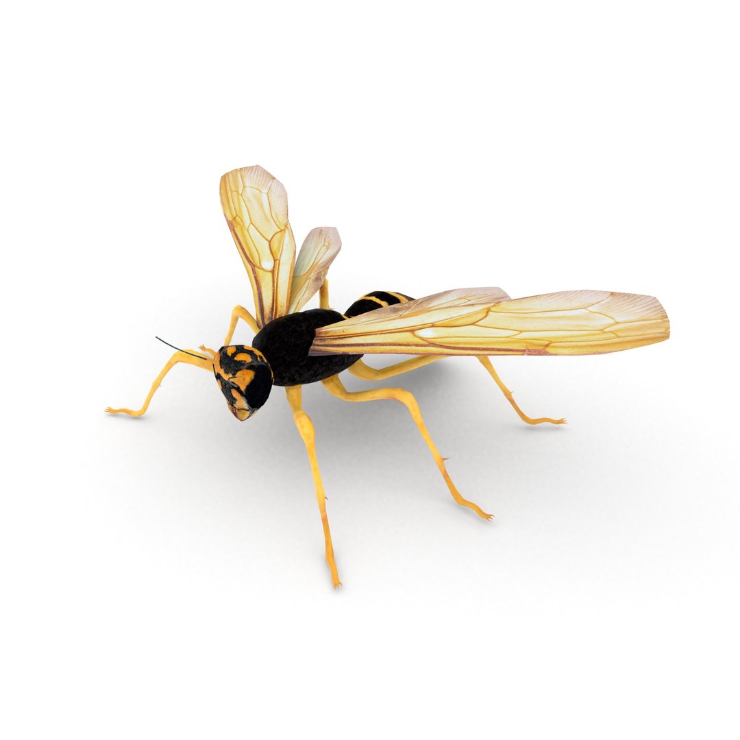 3D Insects Bundle - TurboSquid 1717756