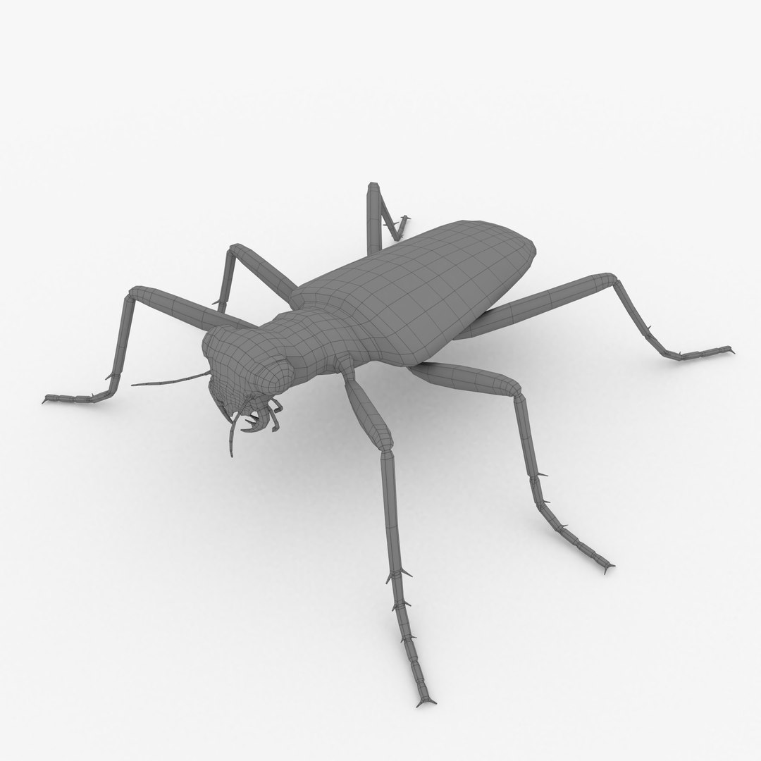 3D Insects Bundle - TurboSquid 1717756