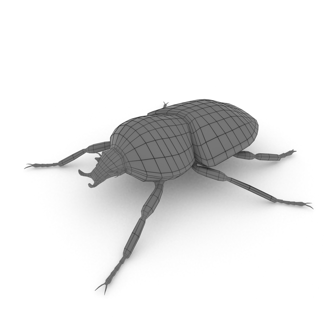 3D Insects bundle - TurboSquid 1717756