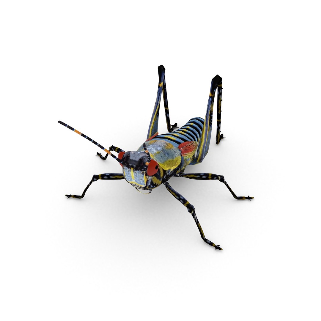 3D Insects Bundle - TurboSquid 1717756