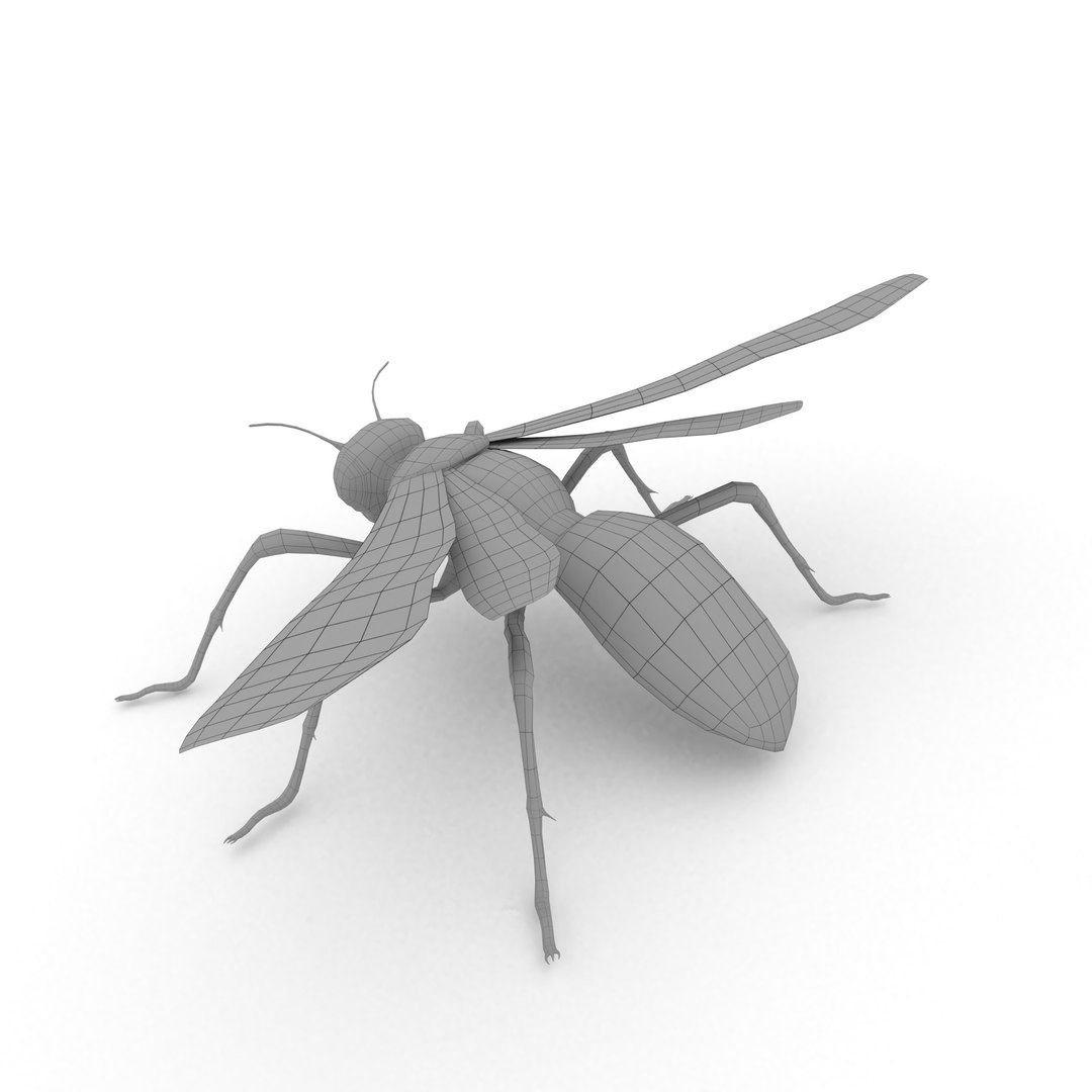 3D Insects Bundle - TurboSquid 1717756