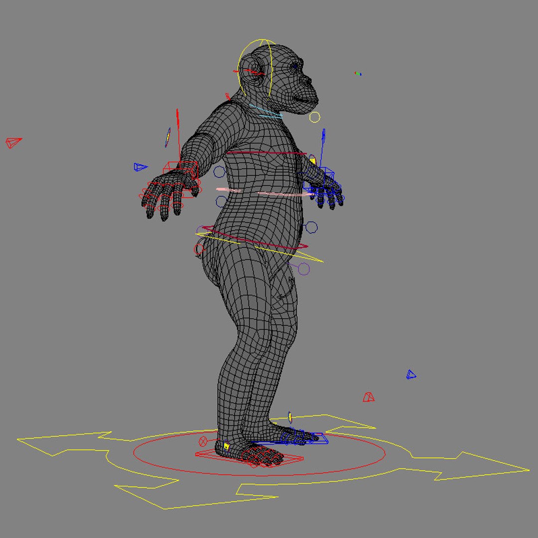 3d Model Chimp Fur Animation