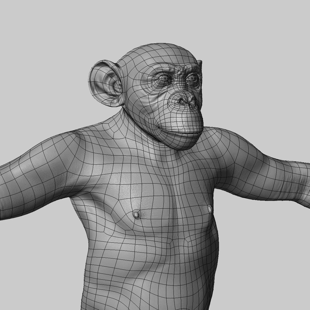 3d Model Chimp Fur Animation