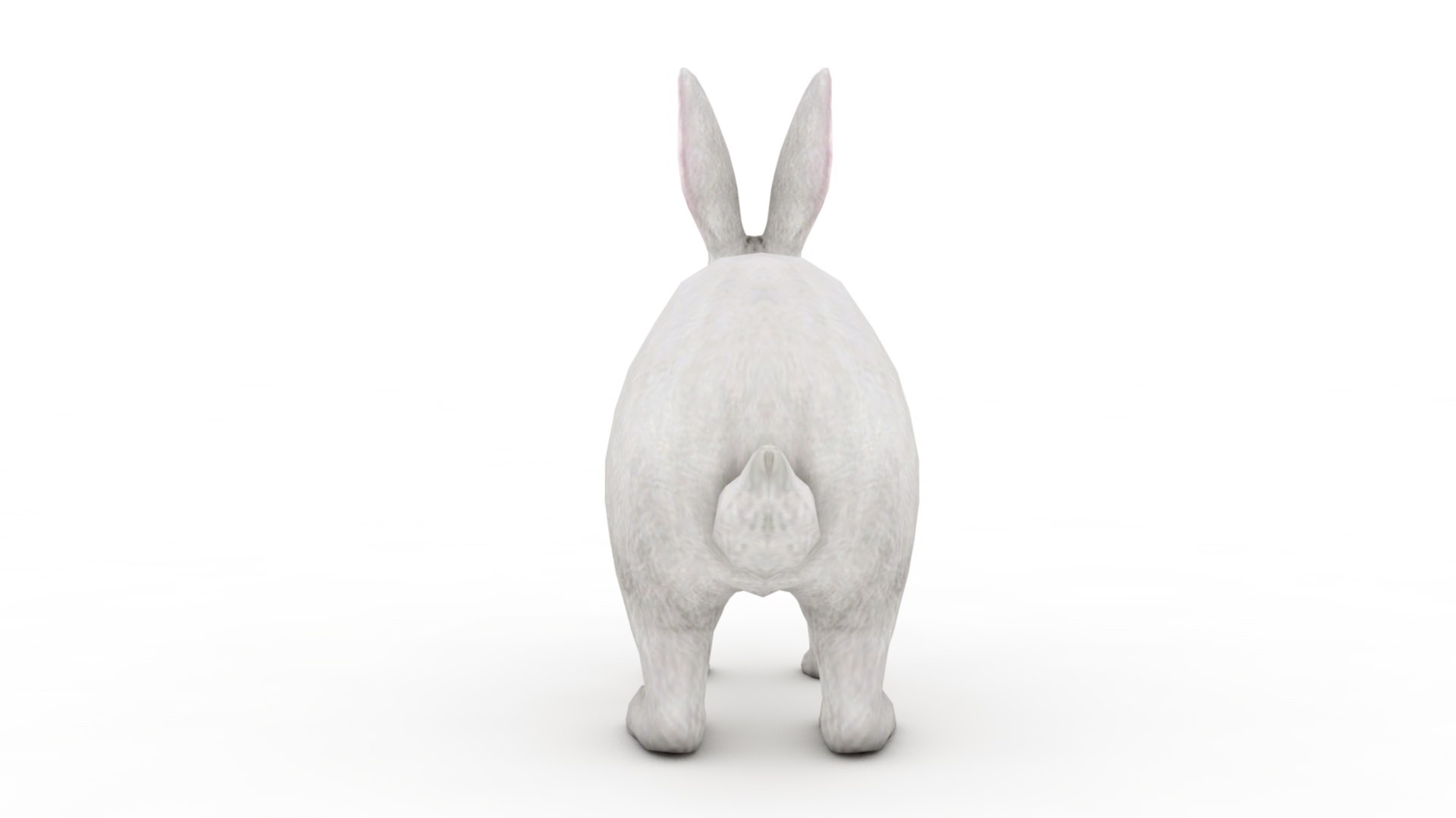 Rabbit 3D Model - TurboSquid 1849294