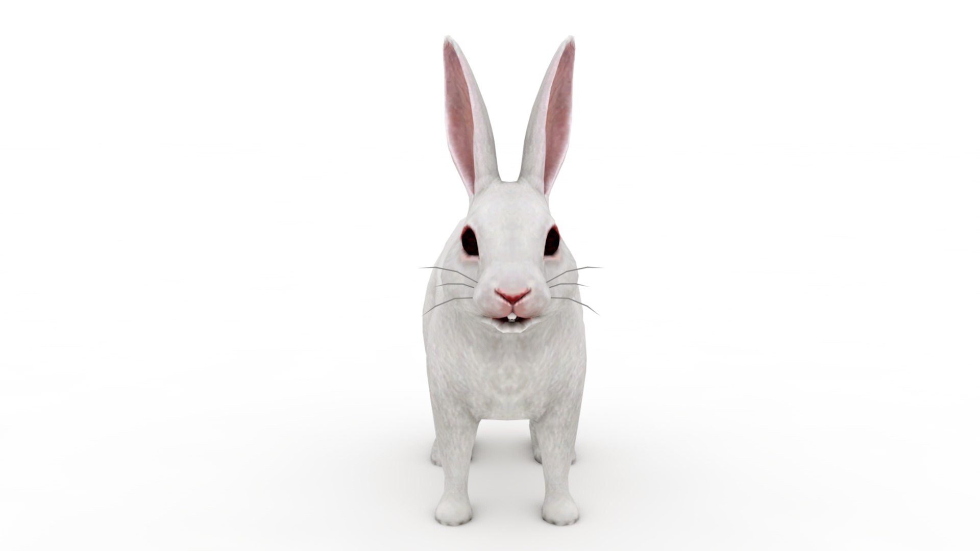 Rabbit 3D Model - TurboSquid 1849294