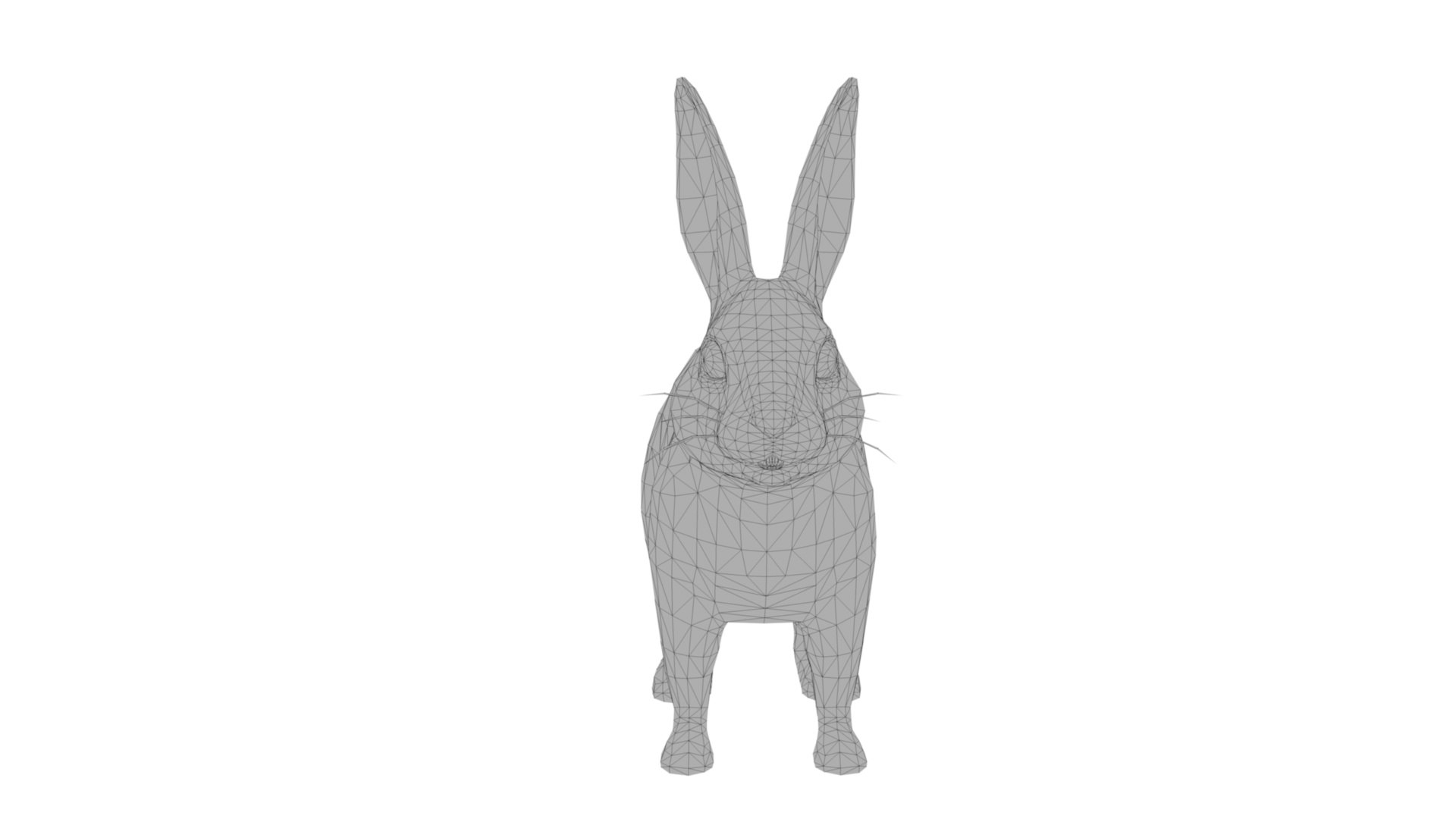 Rabbit 3D Model - TurboSquid 1849294