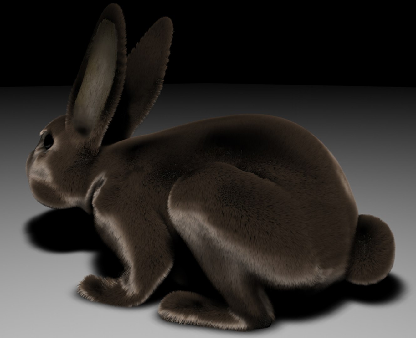 Rabbit 3D model - TurboSquid 349612