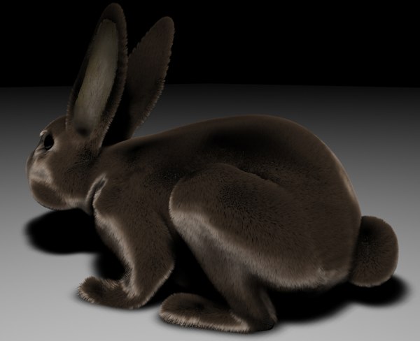 3D Cinema 4D Rabbit hair C4D
