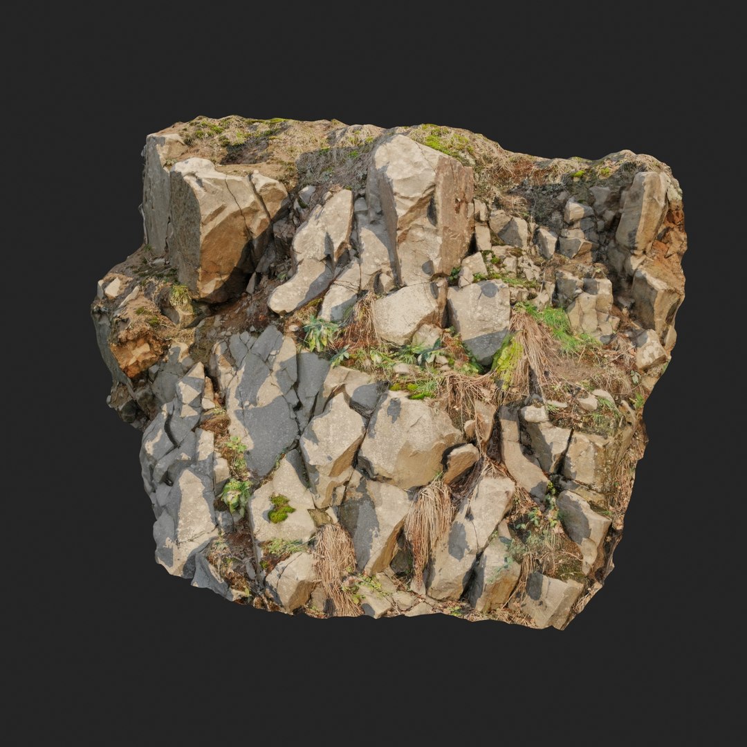 Scanned Cliff Face D 3D Model - TurboSquid 1356056