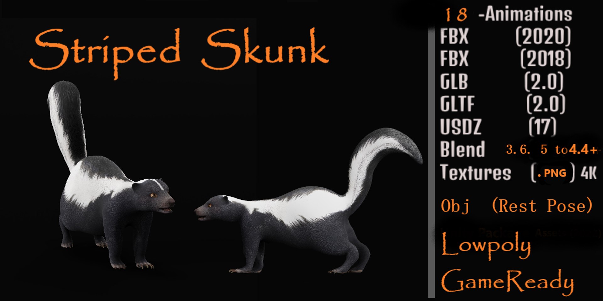 Striped Skunk 3D Model - TurboSquid 2385360