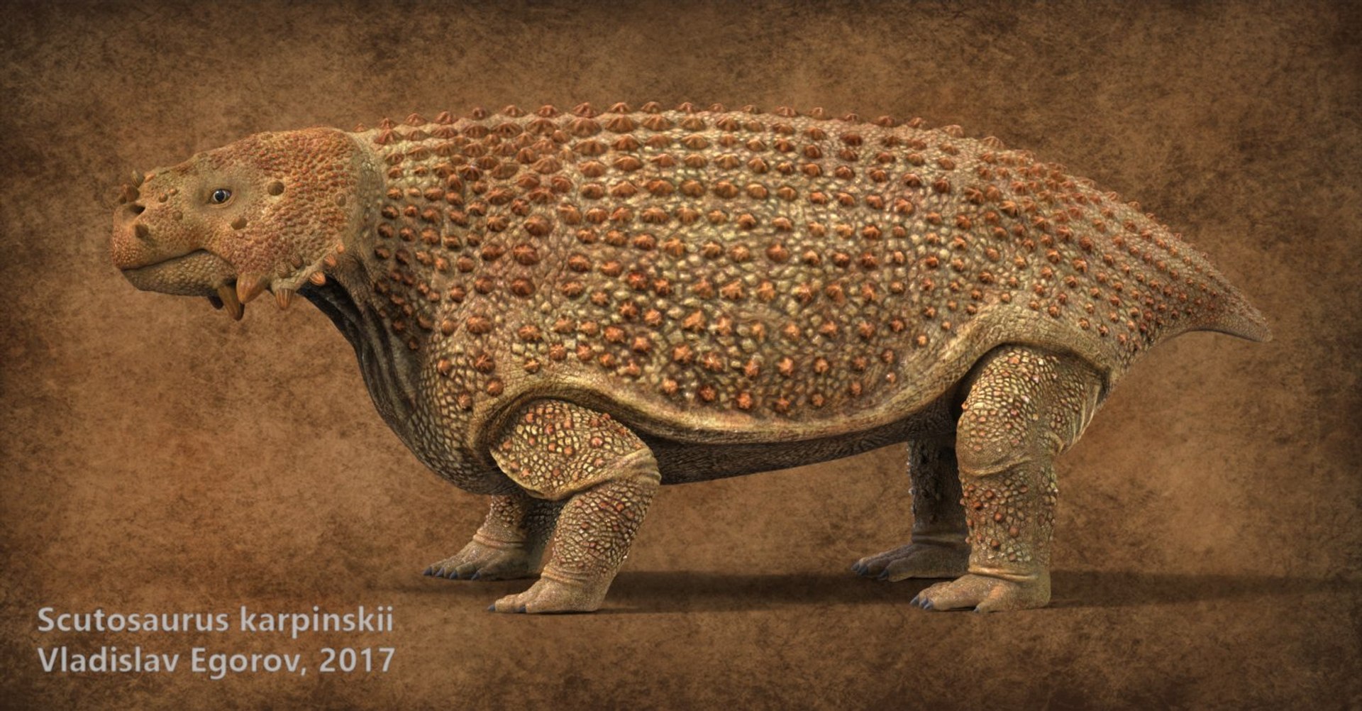 3D Scutosaurus Karpinskii - TurboSquid 1343716