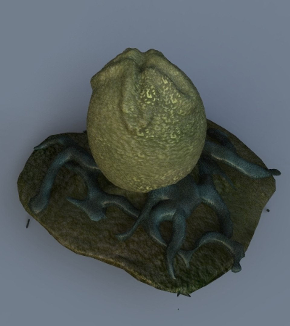Alien Egg 3d Model