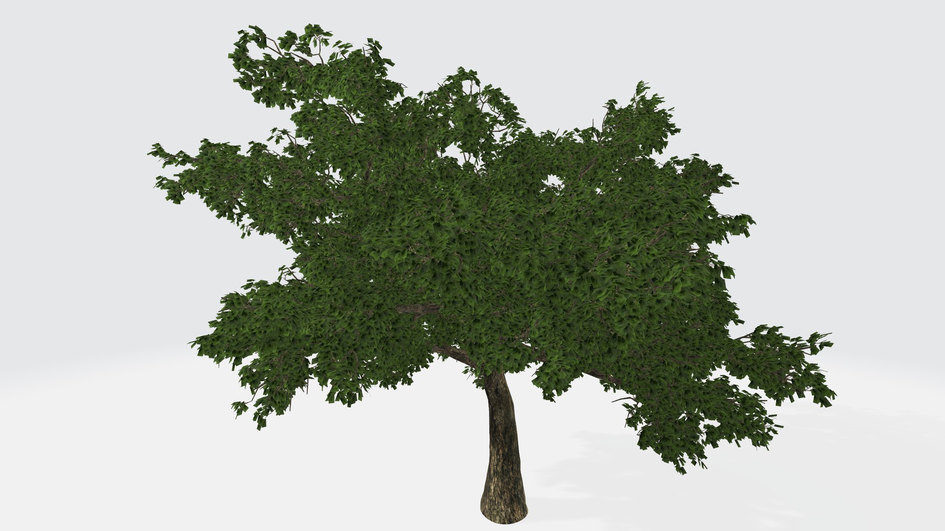 3D Green tree - TurboSquid 1956171