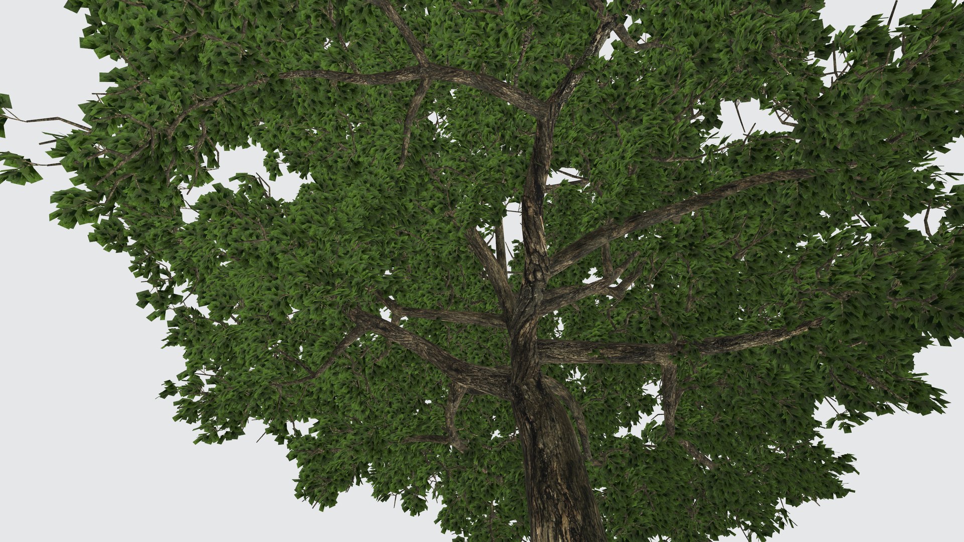 3D Green tree - TurboSquid 1956171