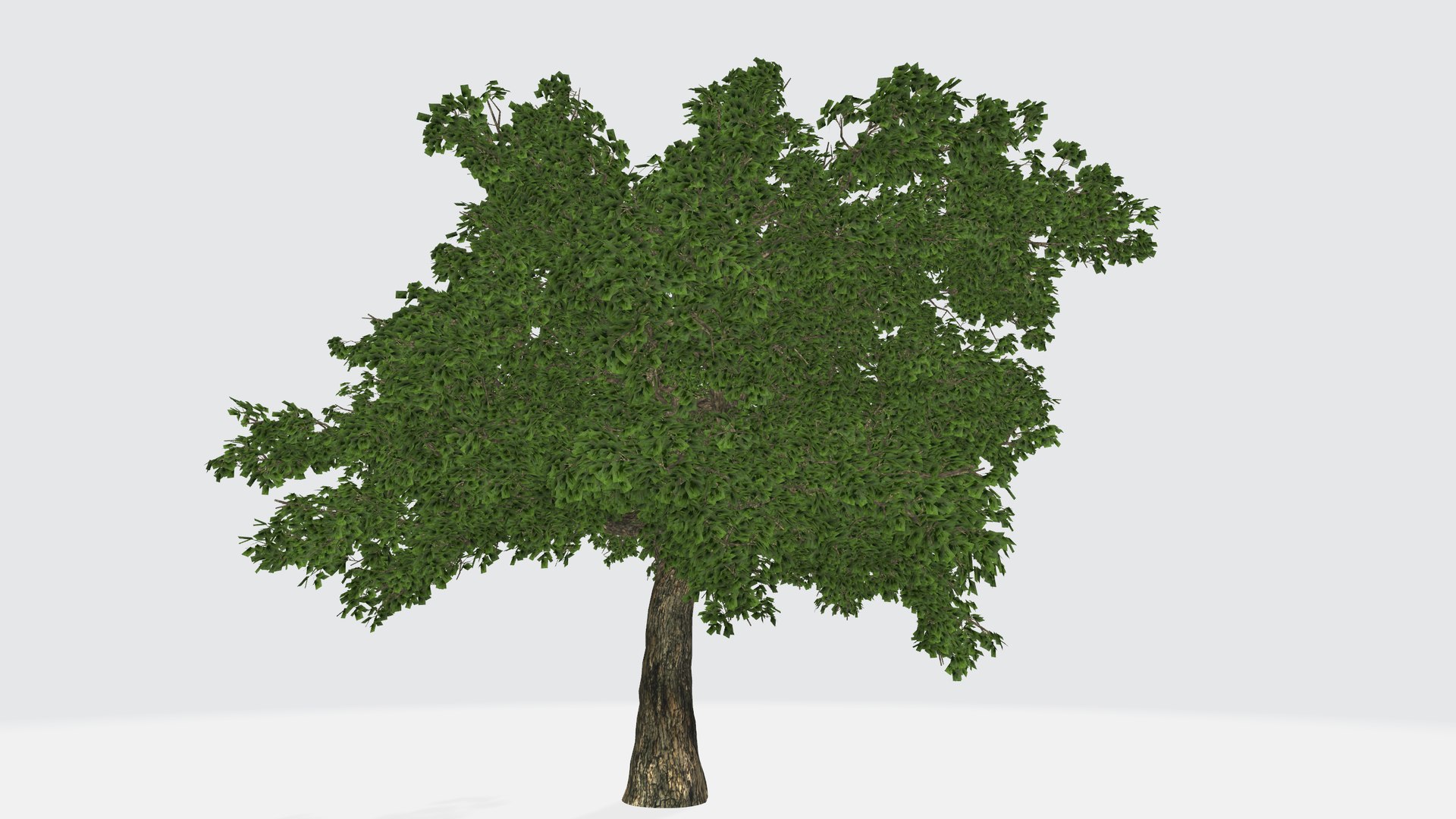 3D Green tree - TurboSquid 1956171