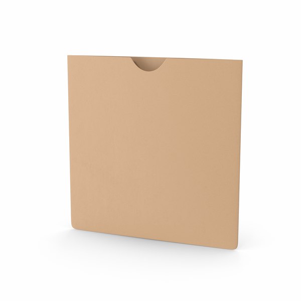 modelo 3d DVD Pouch - TurboSquid 1954801