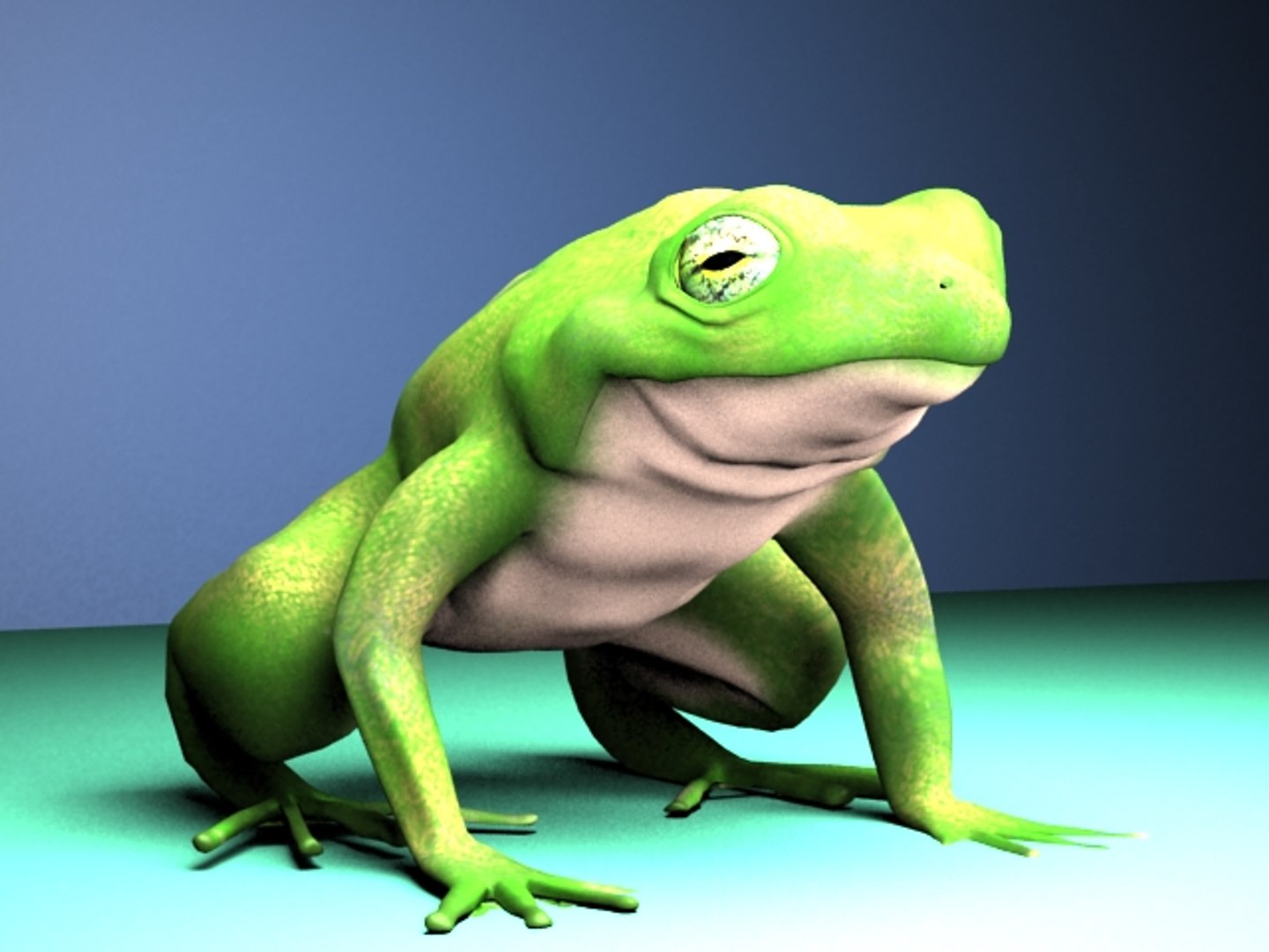 3d model frog