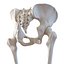 Female Lower Body Skeleton Obj