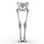 Female Lower Body Skeleton Obj