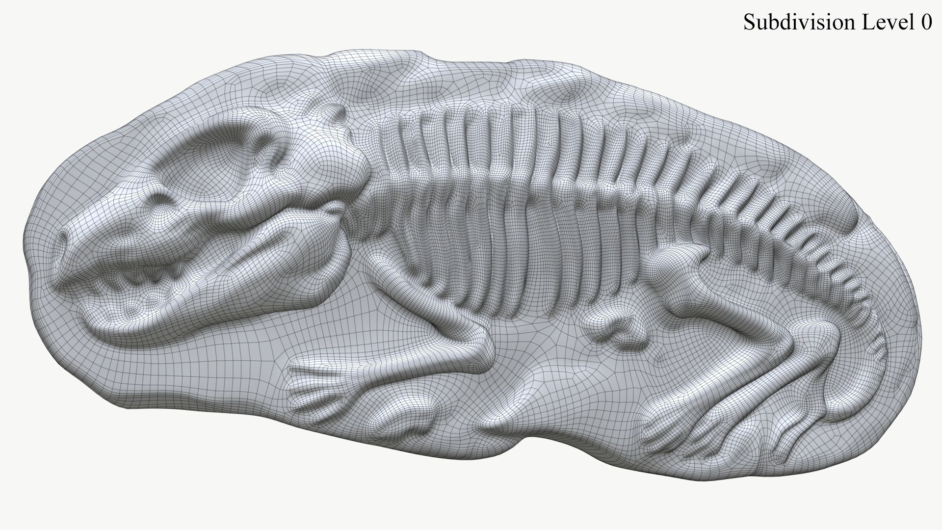 3D Model Fossil Ancient Animal 001 Textured - TurboSquid 2298452
