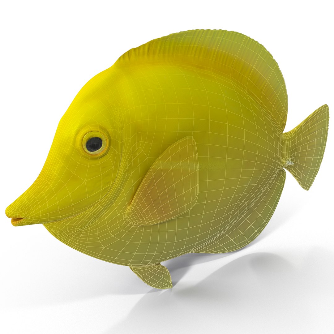 3d model yellow tang