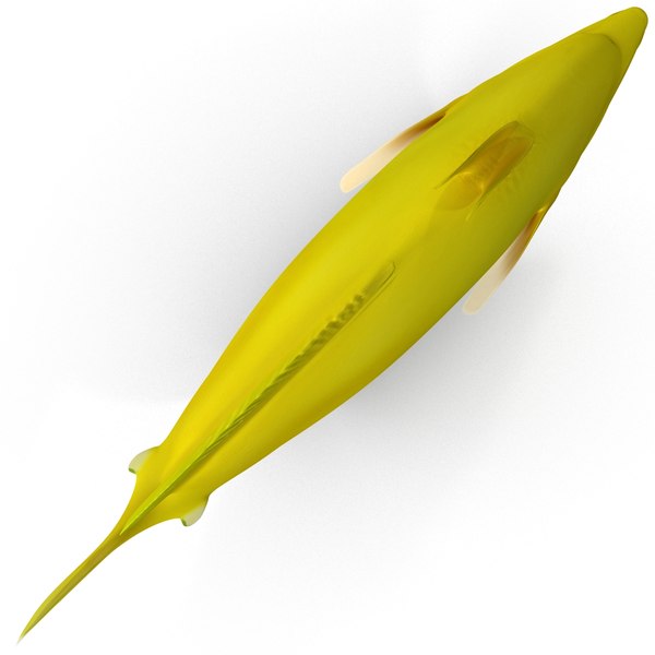 3d model yellow tang