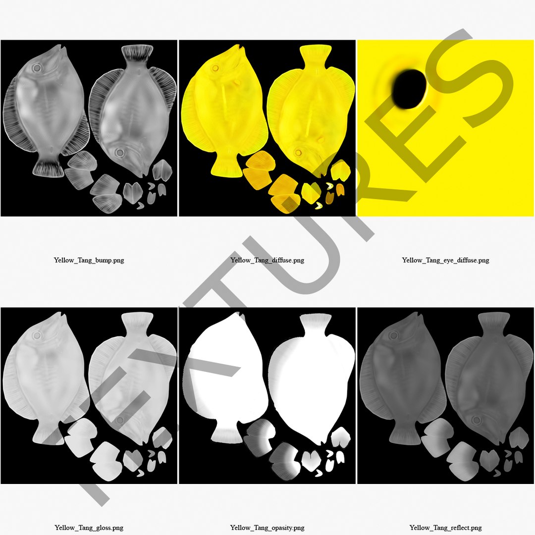 3d model yellow tang