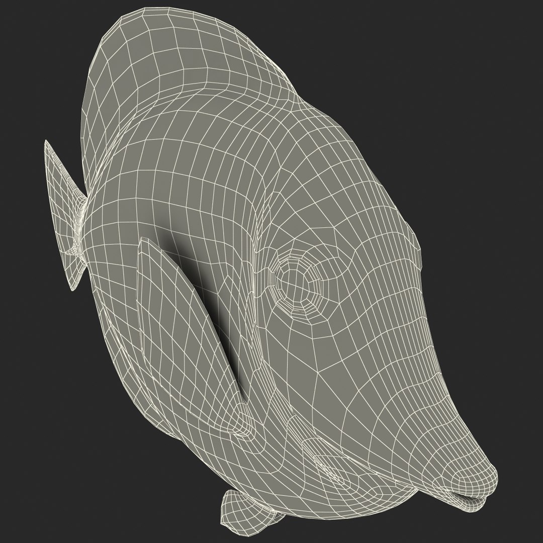 3d model yellow tang