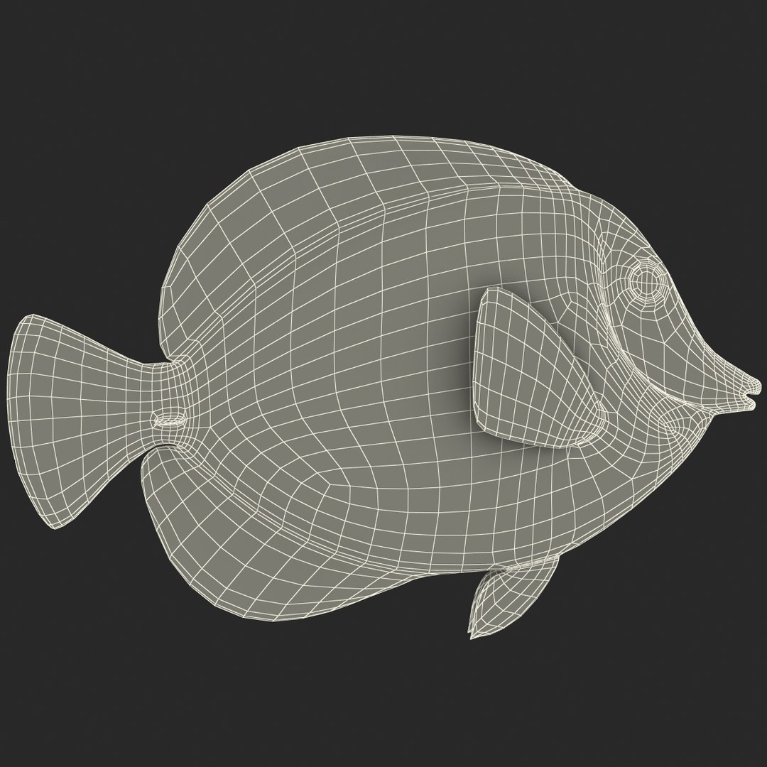3d model yellow tang
