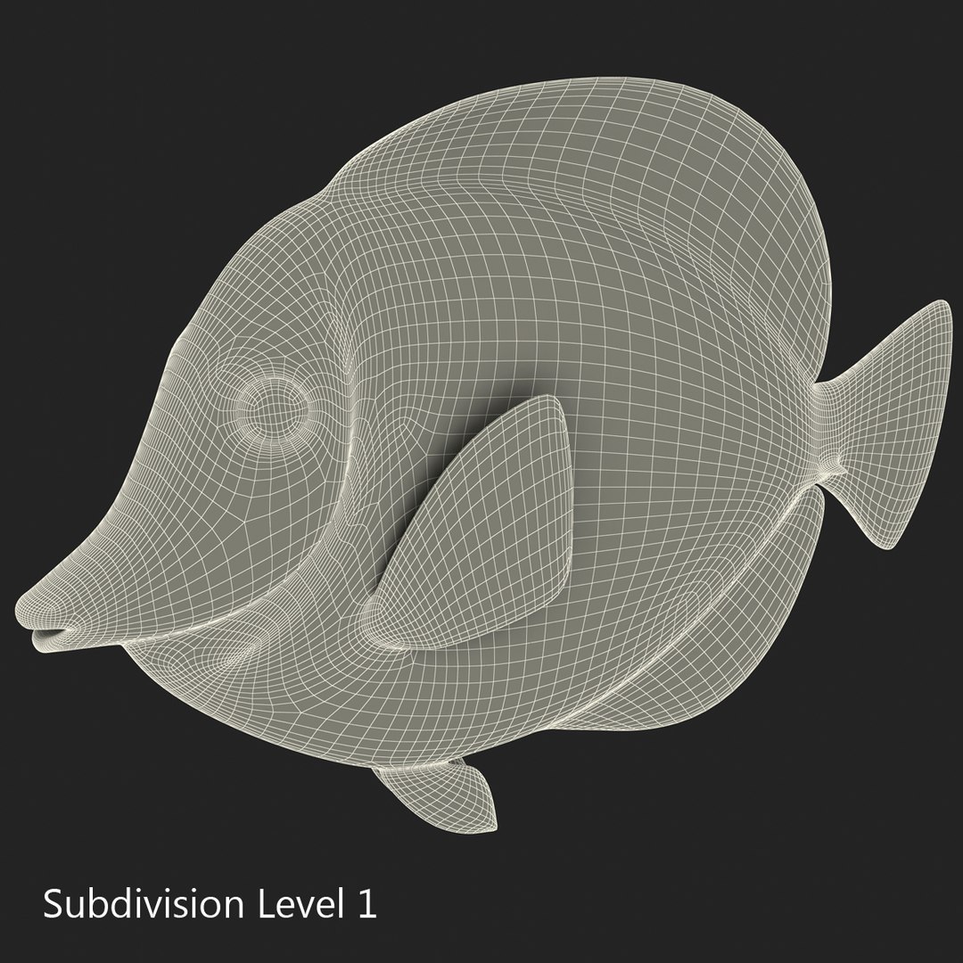 3d model yellow tang