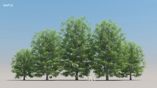 100 trees 3d max