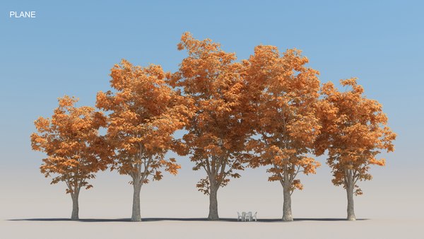 100 trees 3d max