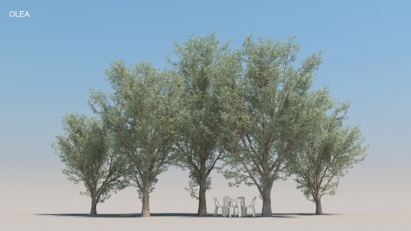 100 trees 3d max