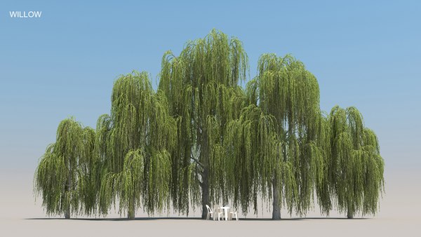 100 trees 3d max