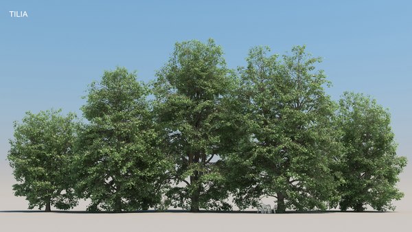 100 trees 3d max