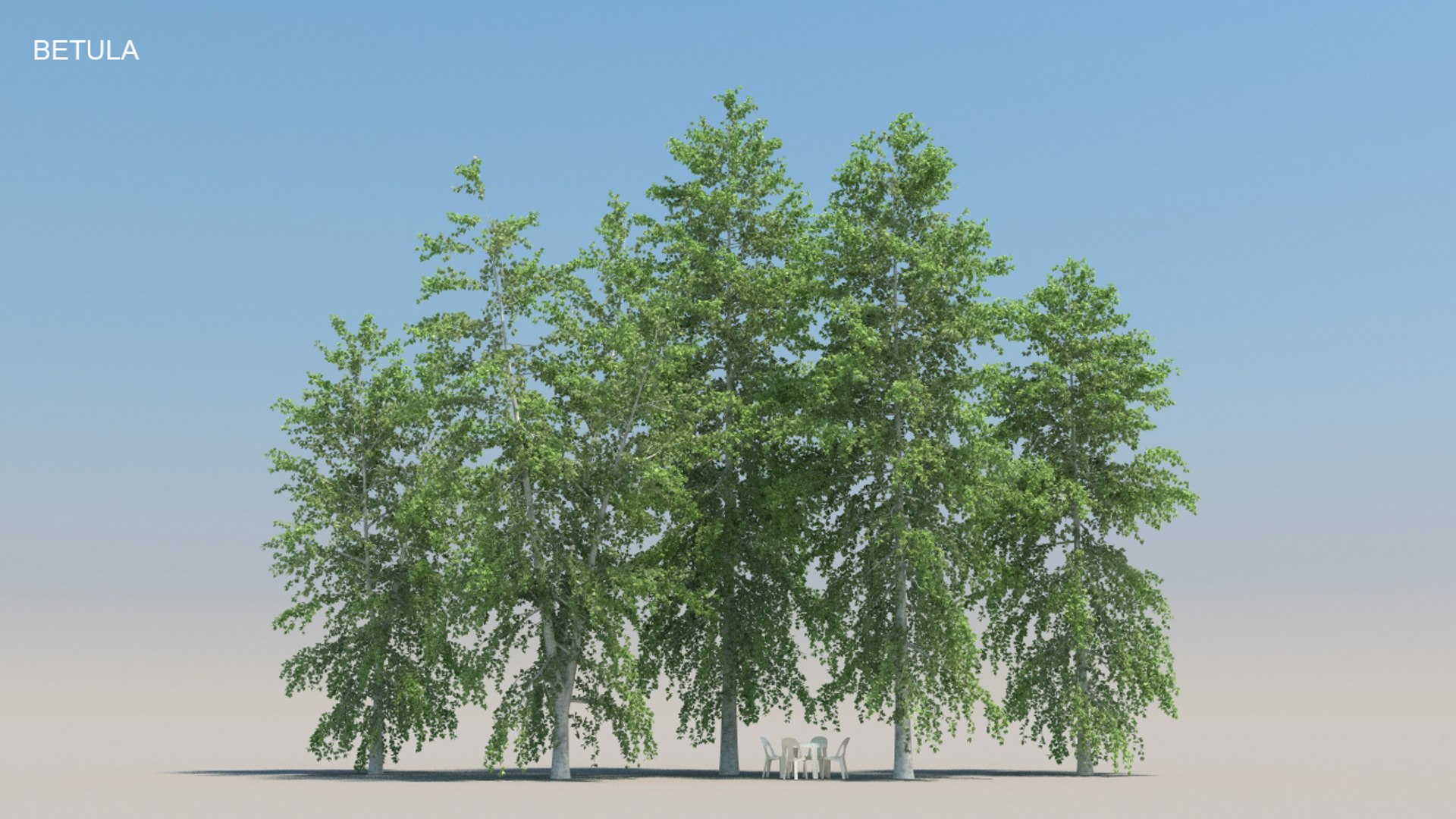 100 trees 3d max