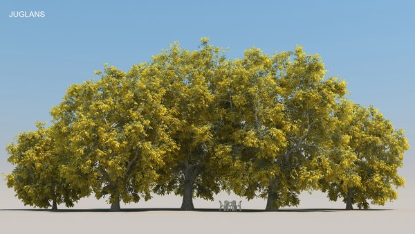 100 trees 3d max