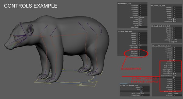 3D brown bear rigged 2 - TurboSquid 1332695