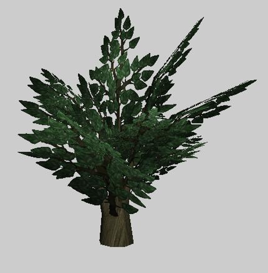 Free Shrub 3d Model