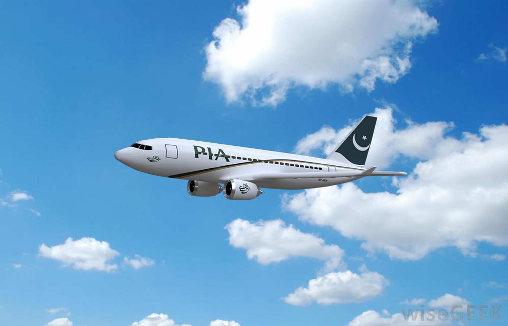 Pakistan Pia Airplane 3d Model