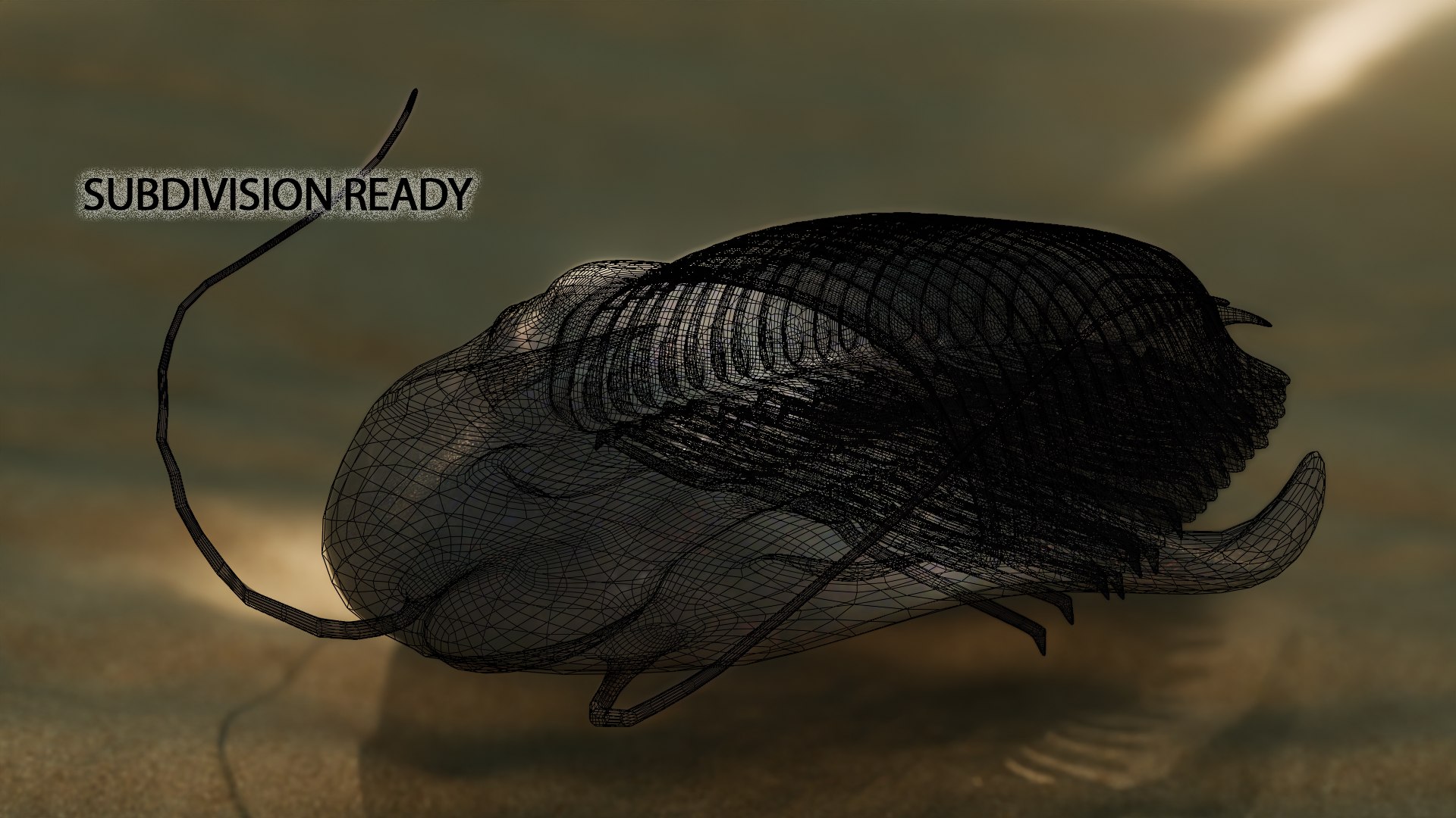 Trilobite 3D Model - TurboSquid 2331068