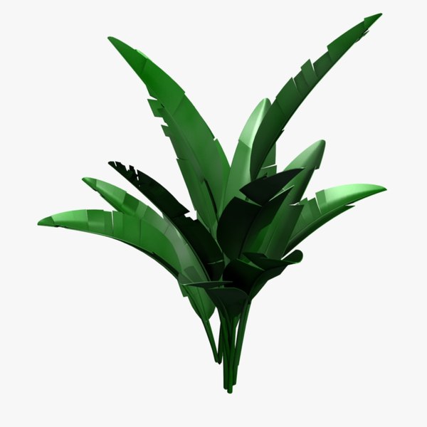 3d Model Bannana Plant