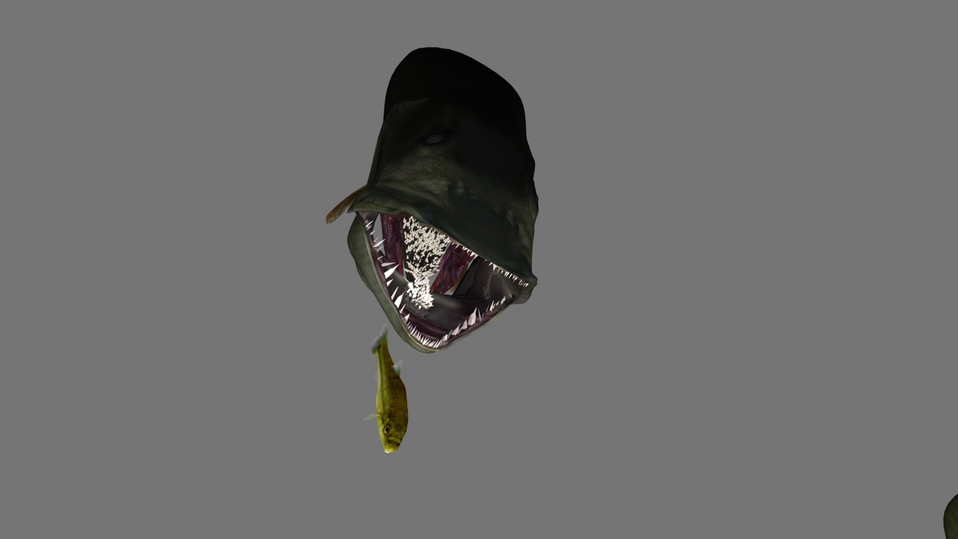 Muskie Head 3d Model
