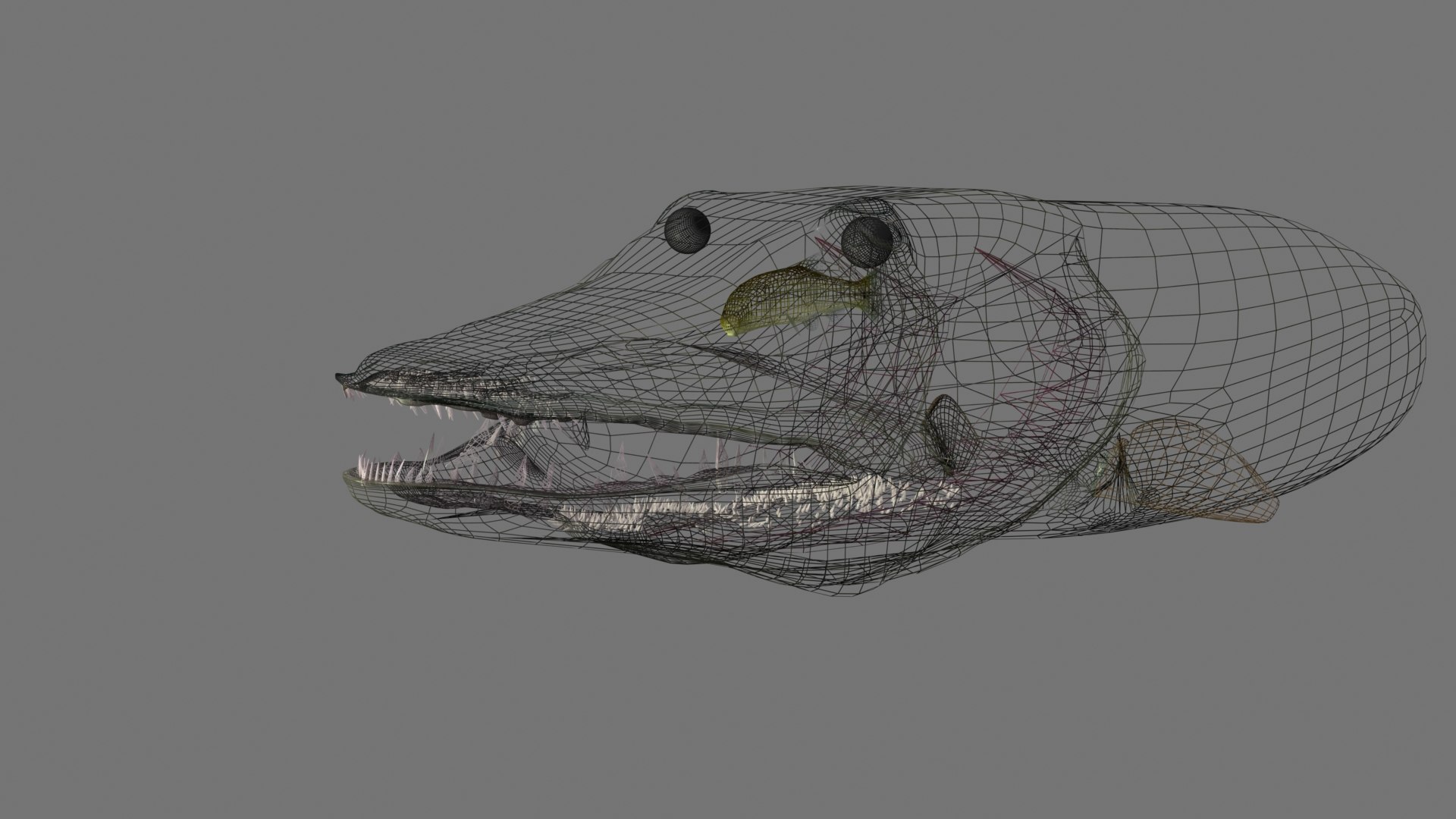 Muskie Head 3d Model