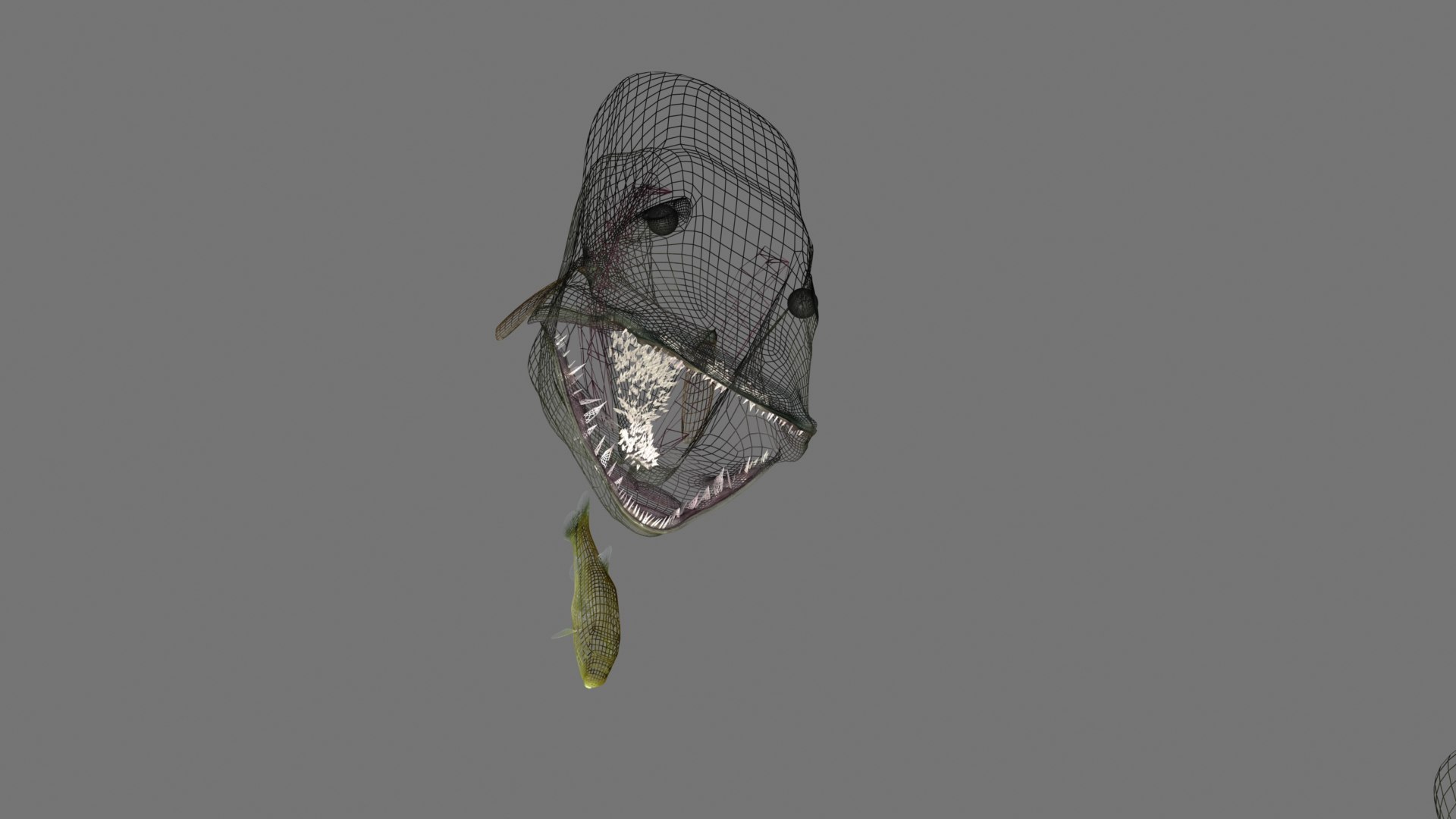 Muskie Head 3d Model