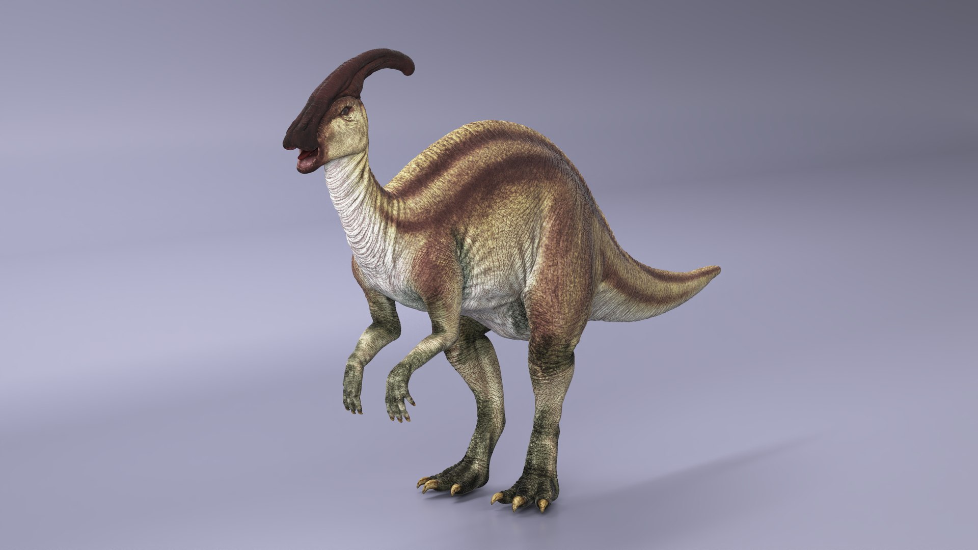 3D Parasaurolophus Dinosaur Model - TurboSquid 2271133