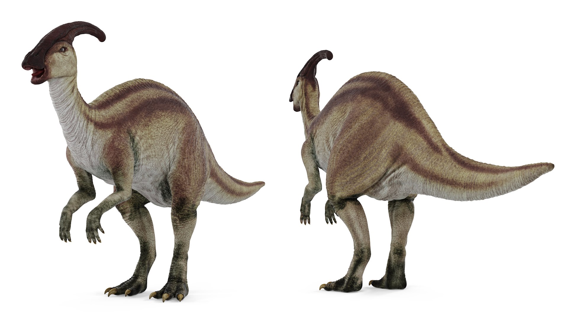 3D Parasaurolophus Dinosaur Model - TurboSquid 2271133