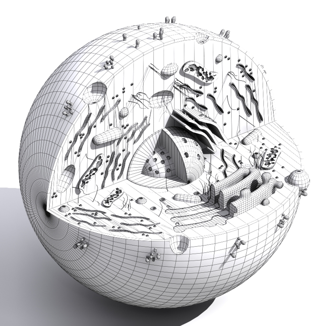 3d 3ds biological cell