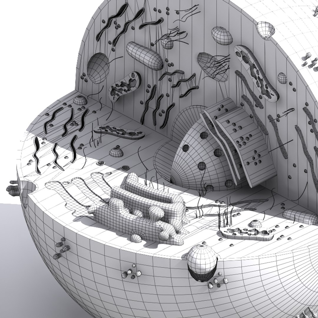 3d 3ds Biological Cell