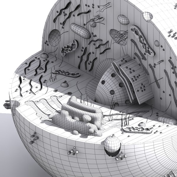 3d 3ds biological cell